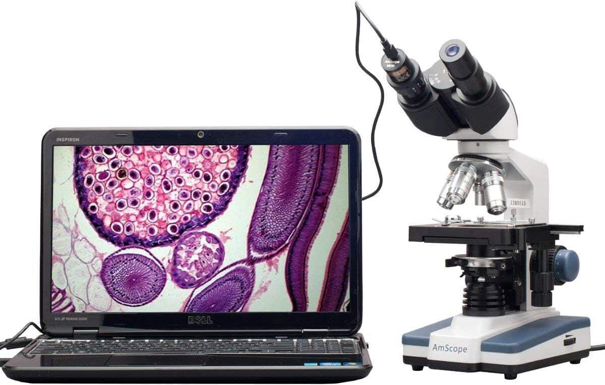 Test du microscope numérique AmScope B120C-E1 : performance et précision